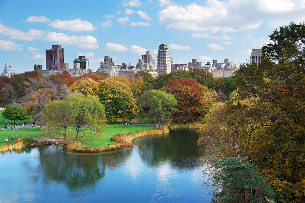 Managing Unemployment Insurance in New York for Nonprofit Employers ...